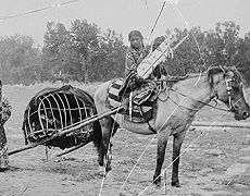 Native American Travois (Indian Drag Sleds for Dogs and Horses)